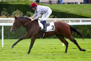 GENYcourses - rapports, résultats et pronostics des courses