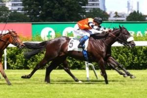 GENYcourses - rapports, résultats et pronostics des courses