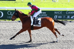 GENYcourses - rapports, résultats et pronostics des courses