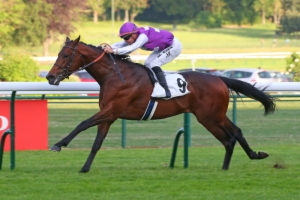 GENYcourses - rapports, résultats et pronostics des courses