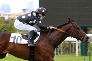 GENYcourses - rapports, résultats et pronostics des courses